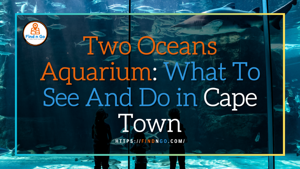 Two Oceans Aquarium What To See And Do | Find and Go