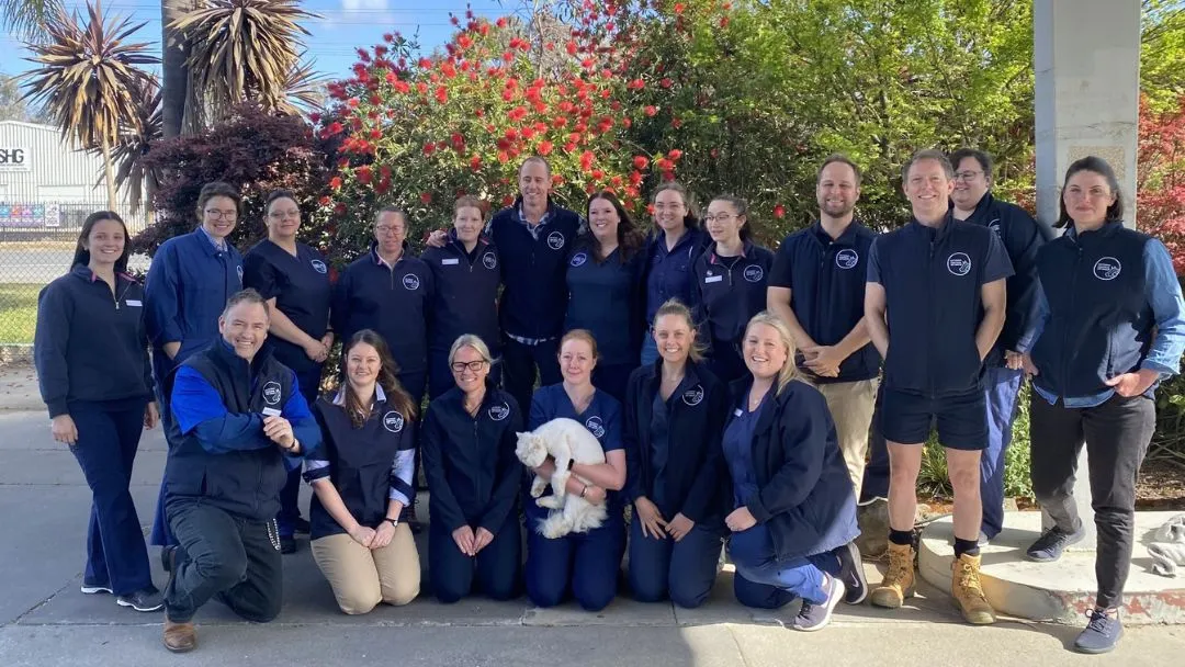 Victorian Central Veterinary Group - Seymour Central Vets - Veterinary ...