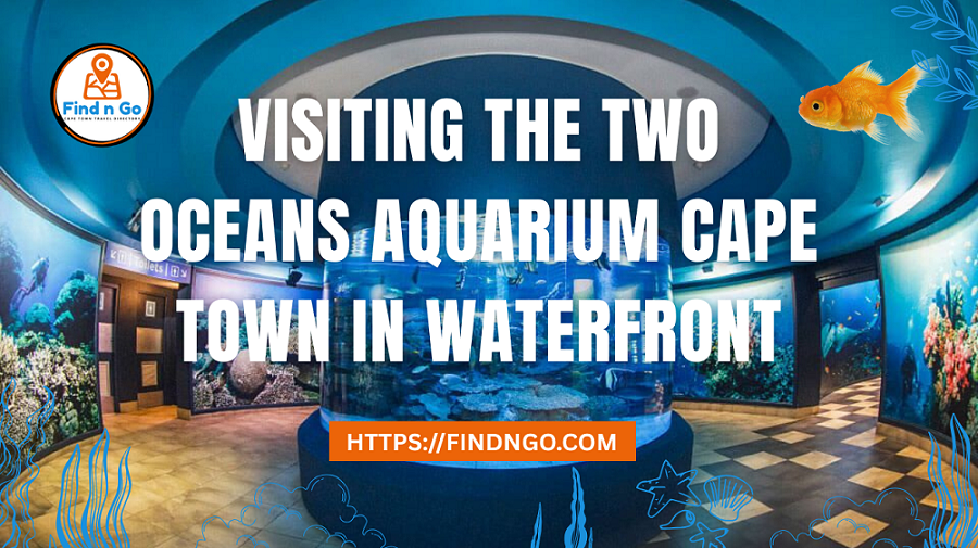 Visiting the Two Oceans Aquarium Cape Town in Waterfront | Find and Go